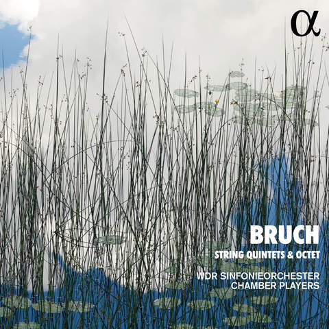 string octet bruch