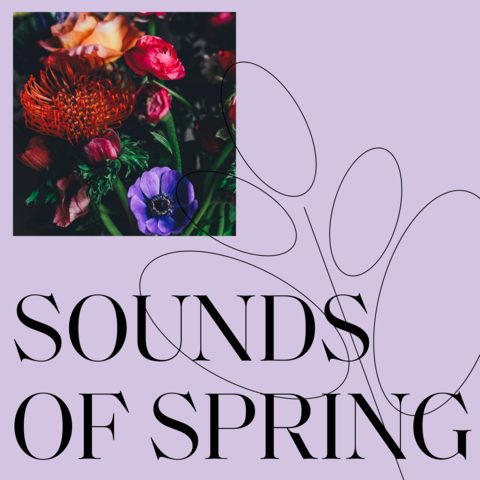 Sounds of Spring | Outhere Music